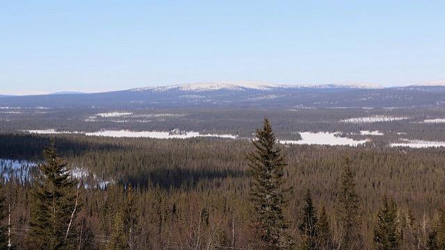 Det går bra för Norra Skog